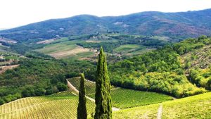 Rota do Chianti com dica pra montar seu itinerário - KeViagem